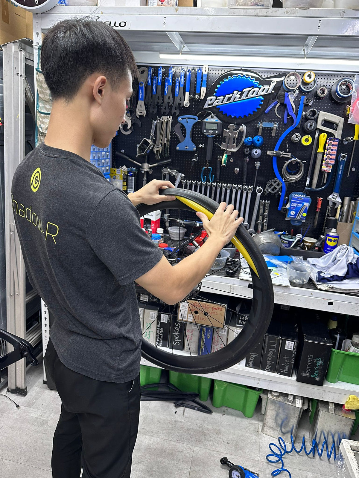 Services – Pro Cycle Bikes