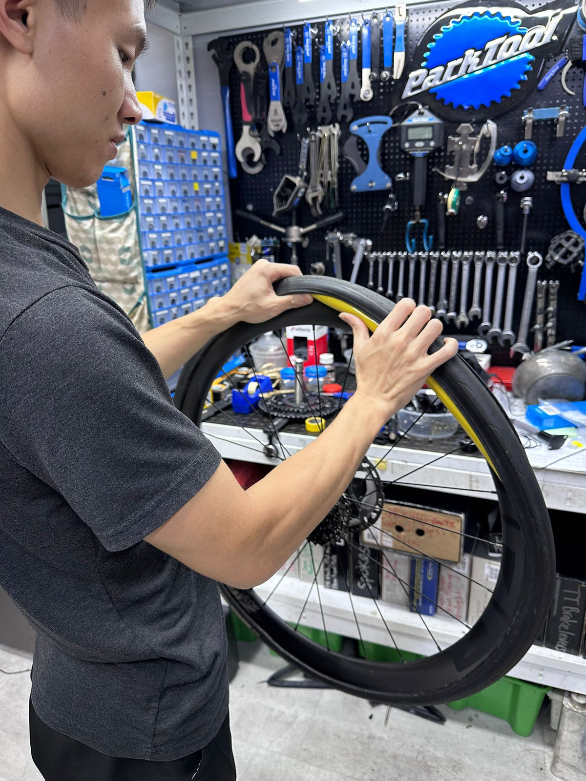 Services – Pro Cycle Bikes