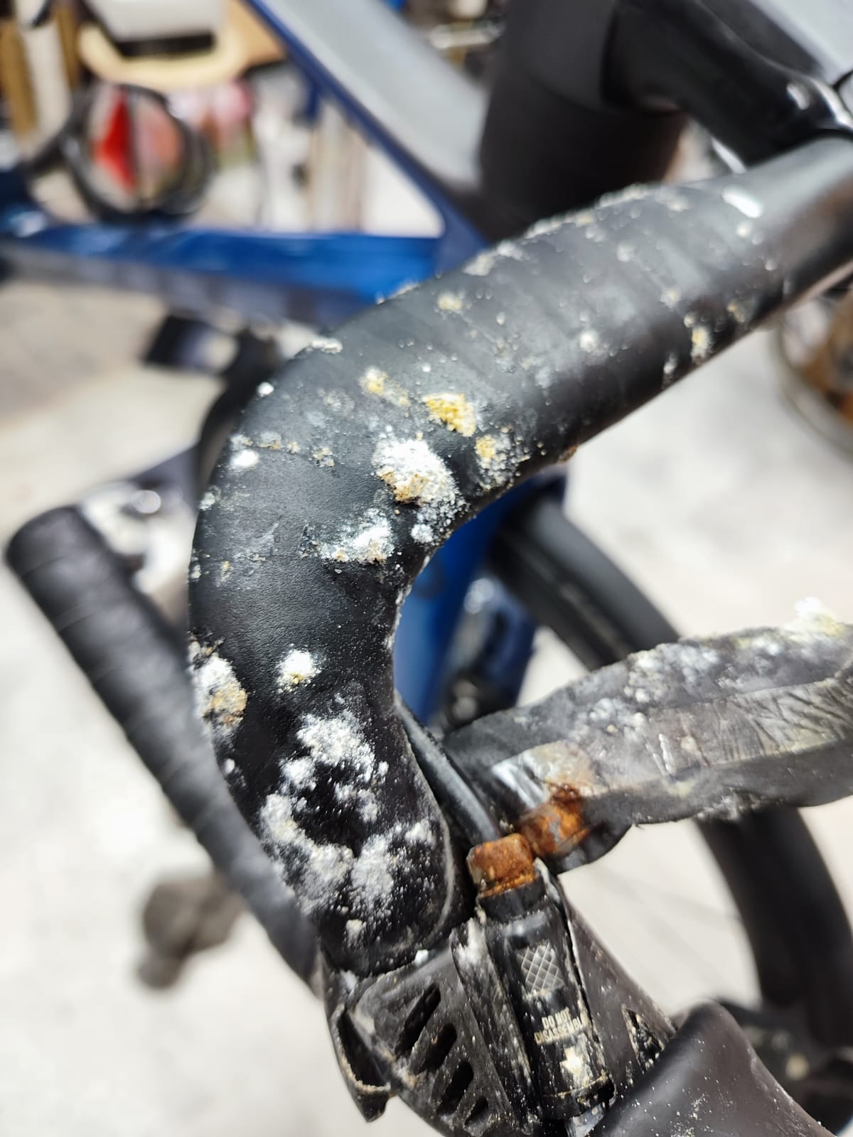 Services – Pro Cycle Bikes