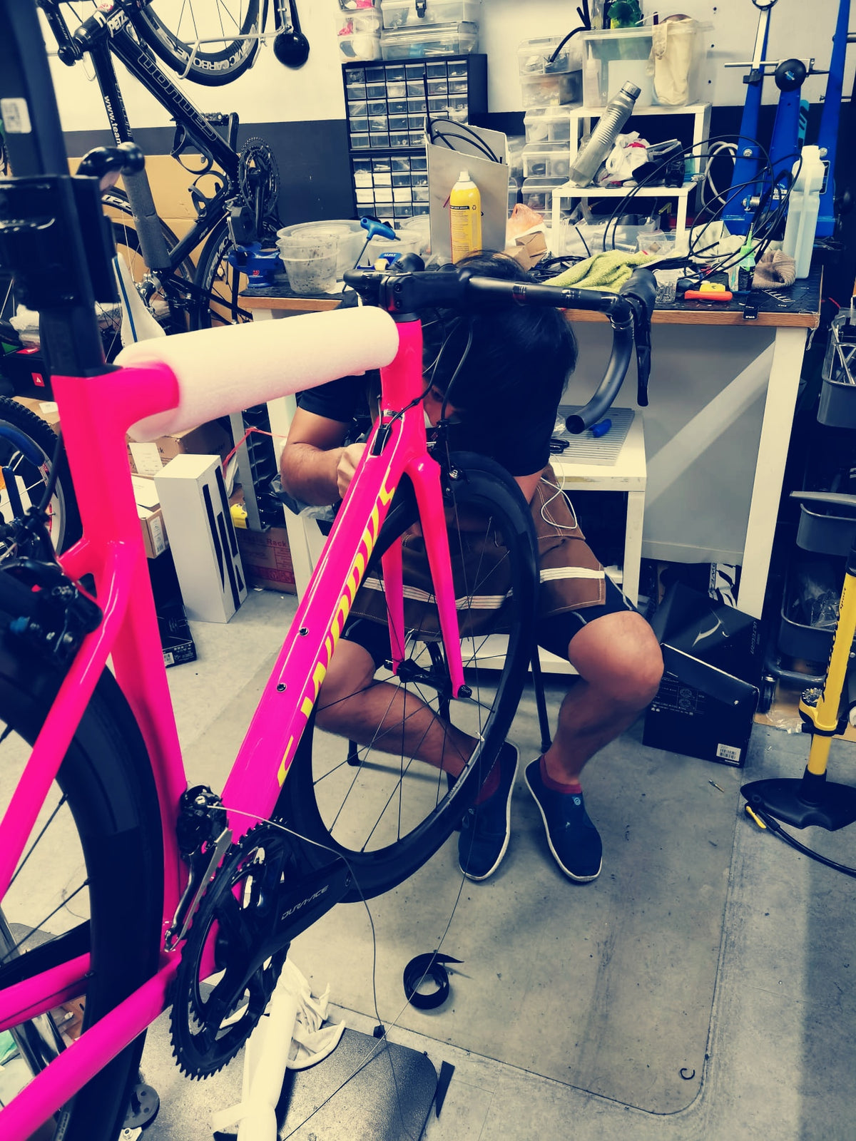 Services – Pro Cycle Bikes
