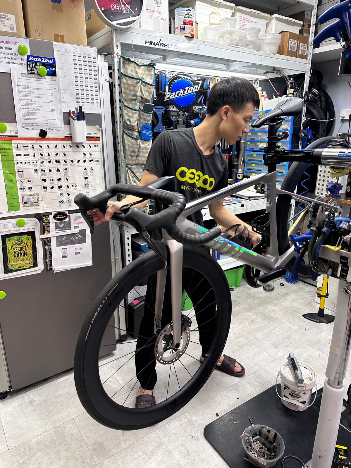 Services – Pro Cycle Bikes